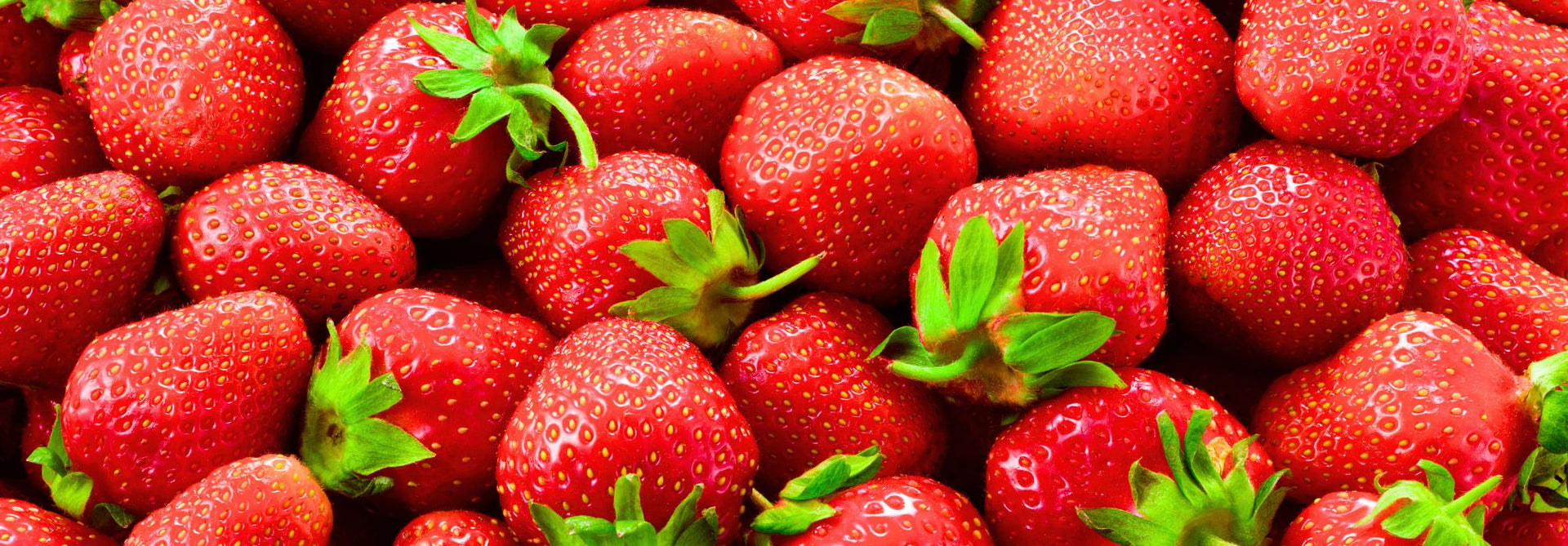 Fruit and Veg Delivery Auckland | Fruit and Vegetable Store – Fruit ...