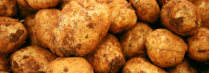 Fruit and Veg Delivery Auckland | Fruit and Vegetable Store – Fruit ...