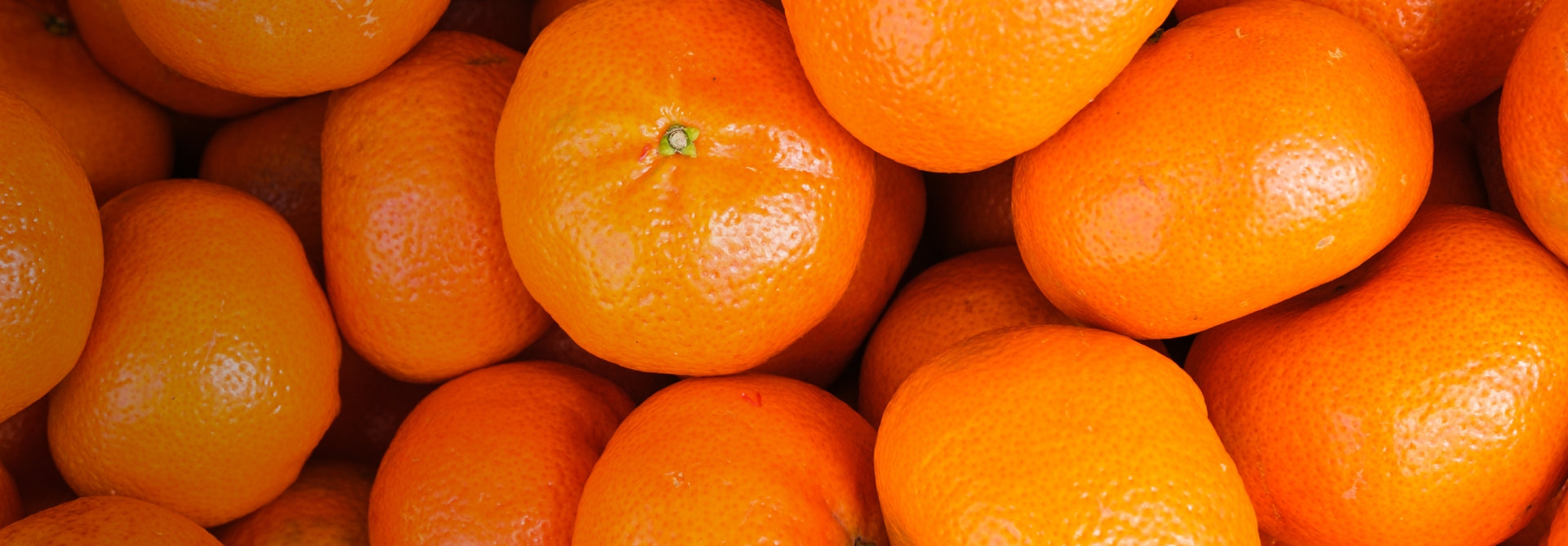 Fruit and Veg Delivery Auckland | Fruit and Vegetable Store – Fruit ...