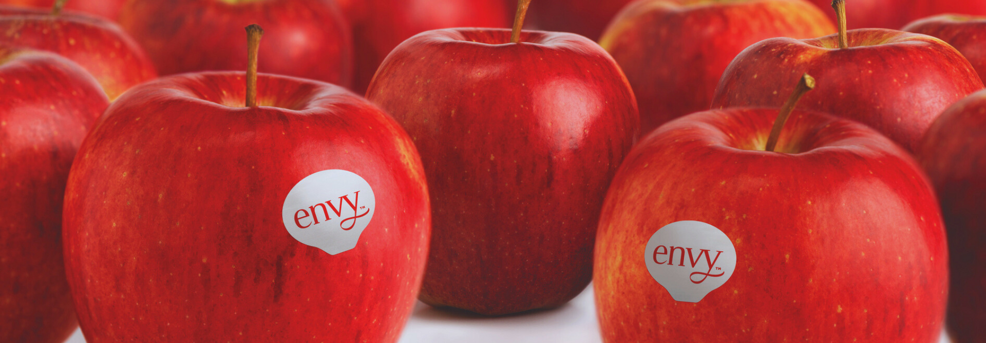 Fruit and Veg Delivery Auckland | Fruit and Vegetable Store – Fruit ...