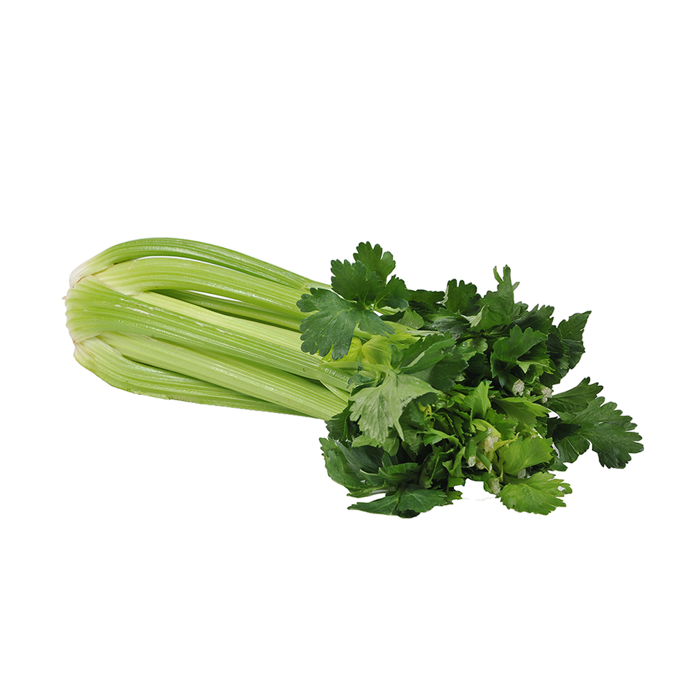 Celery New Celery Thrives Very Well In Cooler Regions – Agriculture