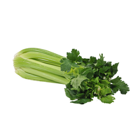 Fruit and Veg Delivery Auckland | Fruit and Vegetable Store – Fruit ...