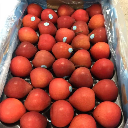 Pears Yummy Piqa Boo NZ – Fruit World | Fruit World Royal Oak