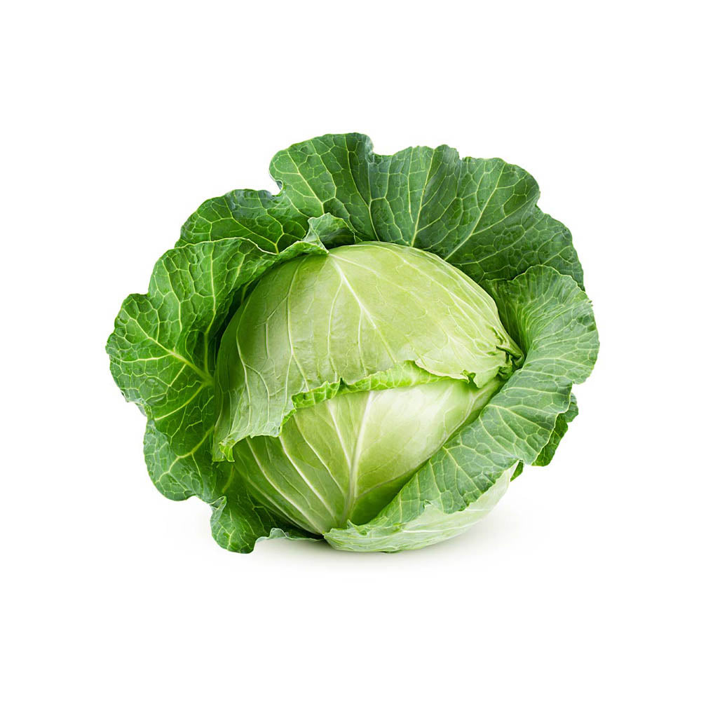 Cabbage Large Fresh NZ Each – Fruit World | Fruit World Royal Oak