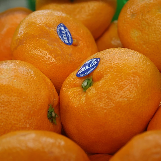 Mandarins Satsuma 800gm Bag NZ – Fruit World | Fruit World Royal Oak